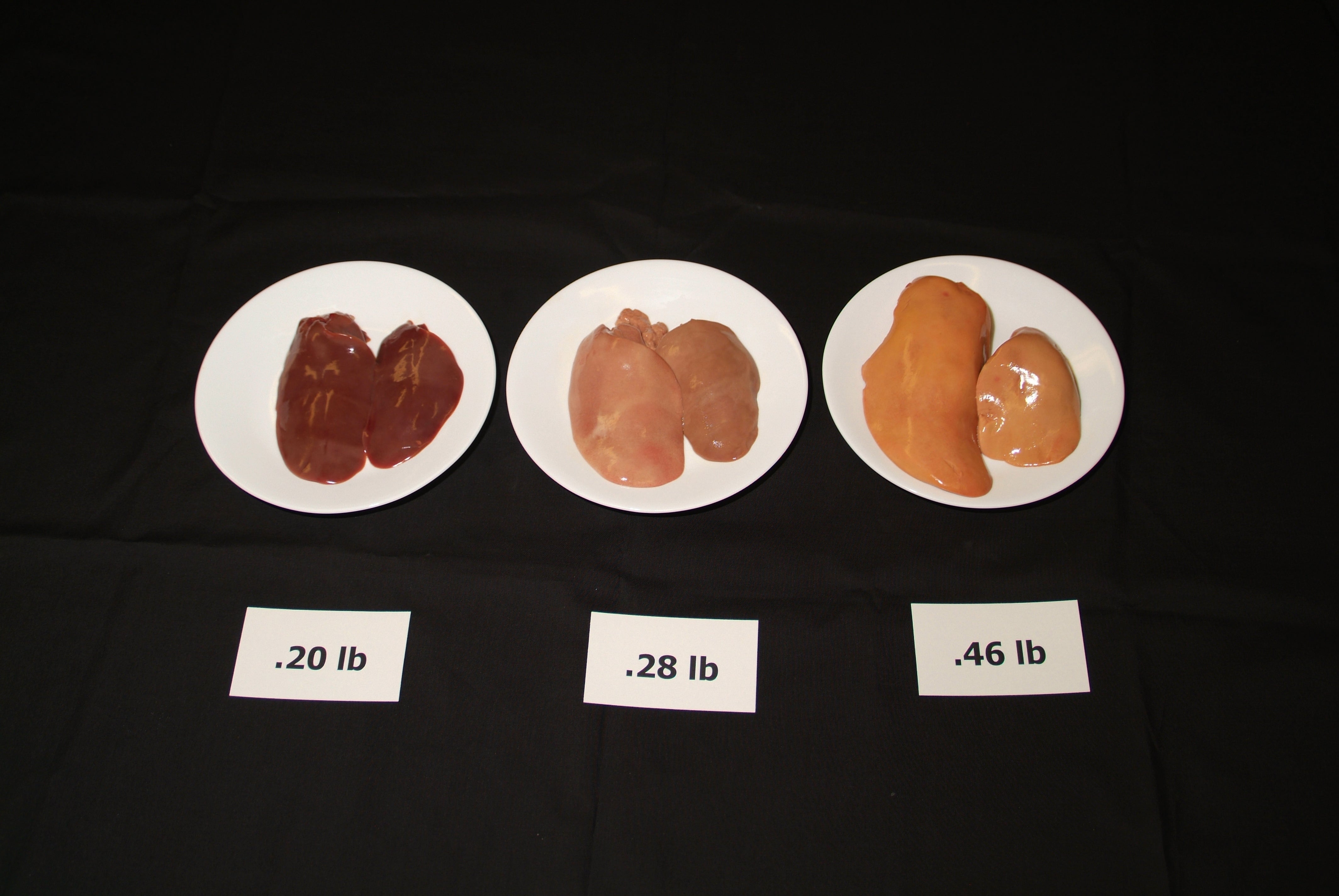 Products - Schiltz Foods